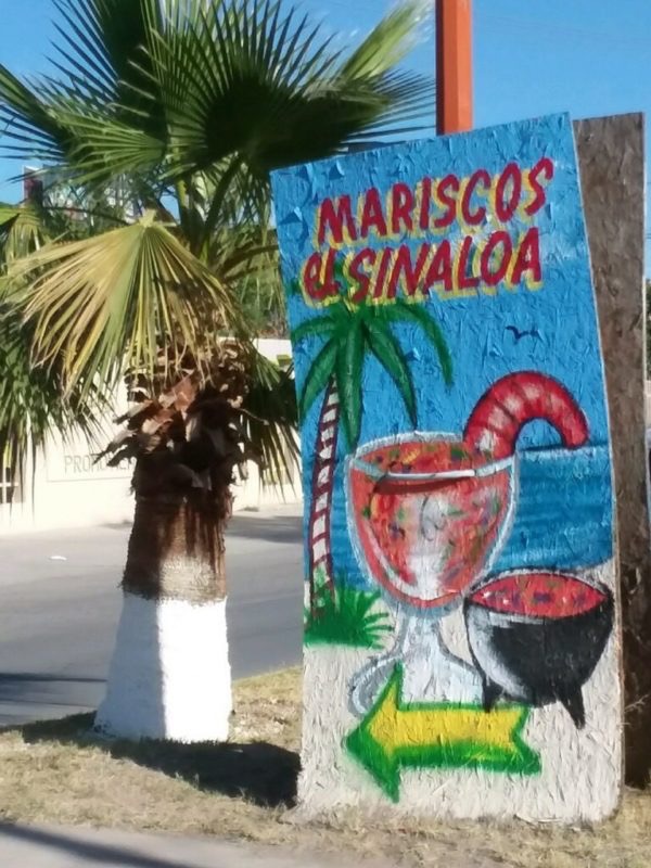 Ojinaga Tour Guide – Angell Expeditions