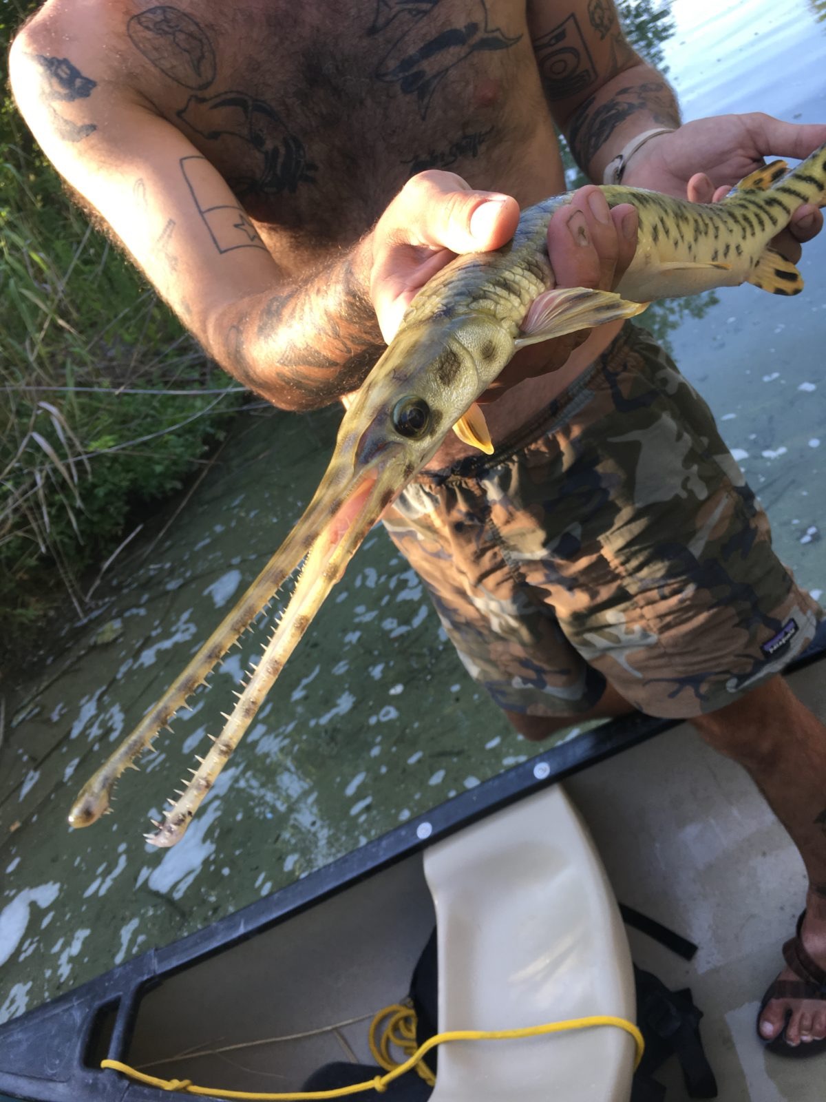 Devils River Fishing Guide – Angell Expeditions