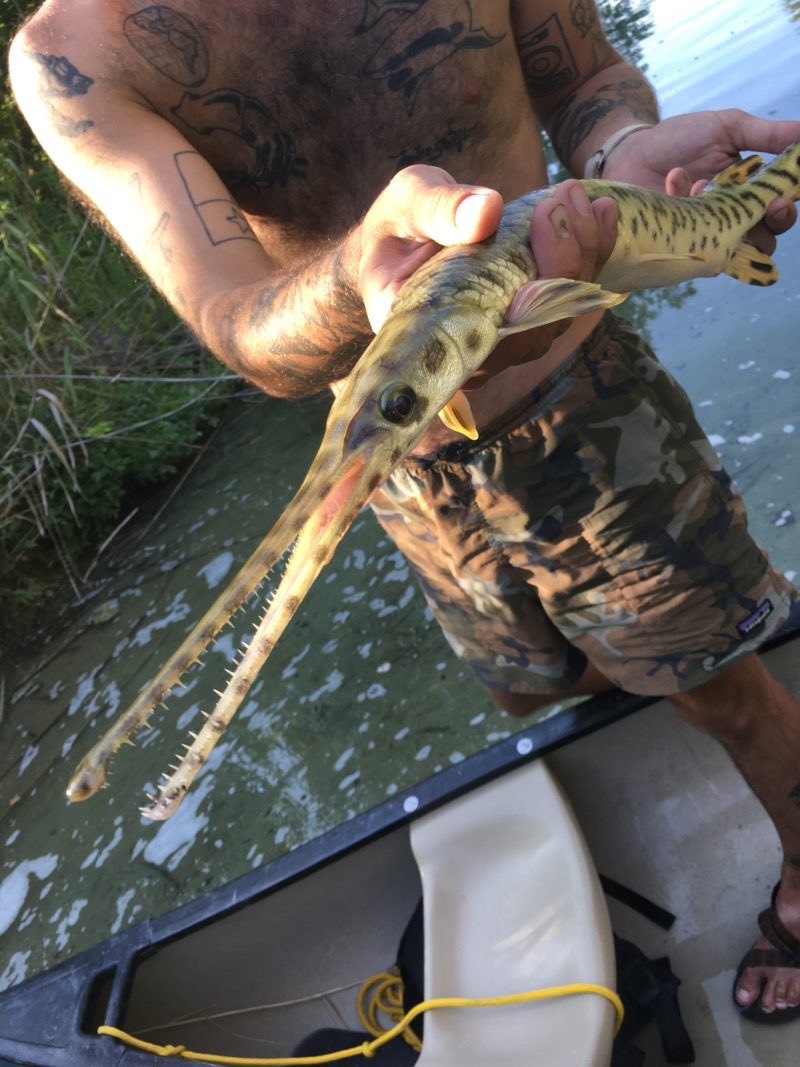 Devils River Fishing Guide – Angell Expeditions
