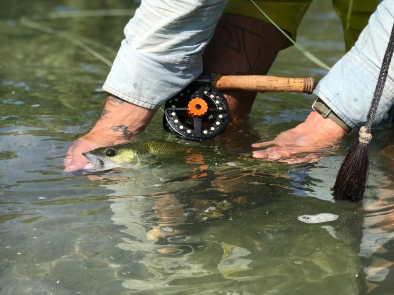 Devils River Fishing Guide – Angell Expeditions
